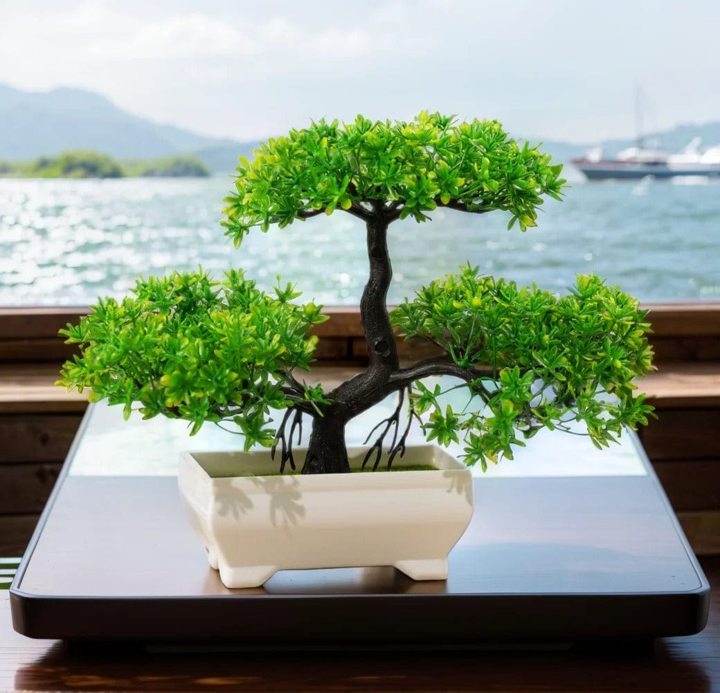 ZenLeaf Miniature Bonsai Tree